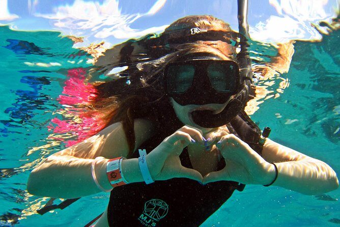 Official Chankanaab Beach Park Day pass with Snorkeling - What You Can Expect at Chankanaab Beach Park