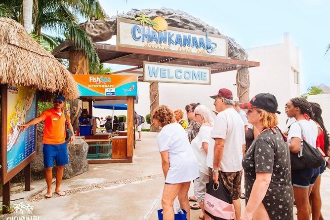 Official Chankanaab Beach Park Day pass with Snorkeling - The Beach and Park Facilities