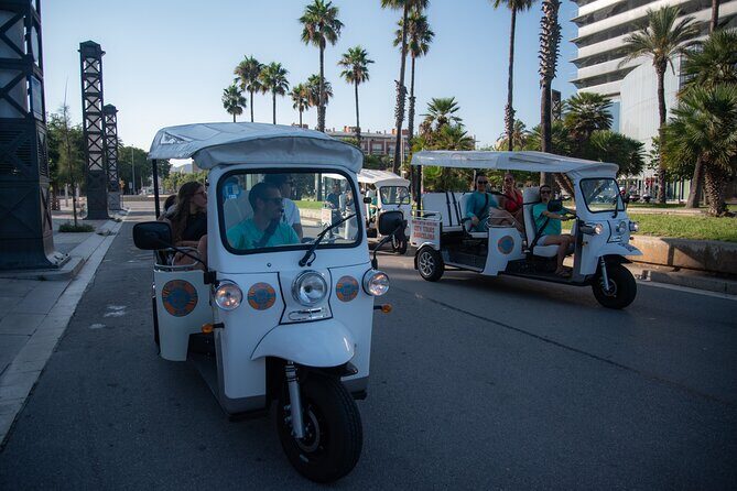 Official Tuk Tuk BCN l Barcelona 3 Hours City Tour - Final Thoughts