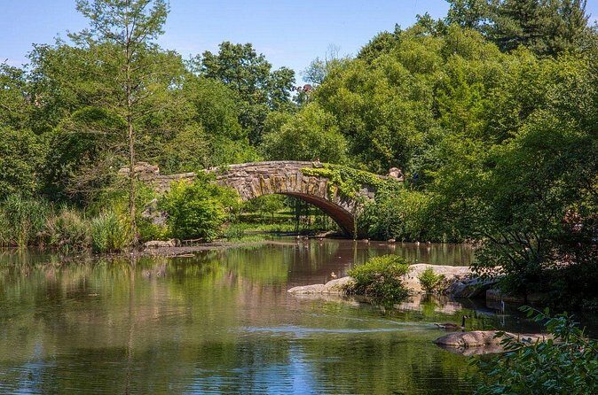 Official Who Built Central Park Walking Tour - The Sum Up: Who Is This Tour Best For?