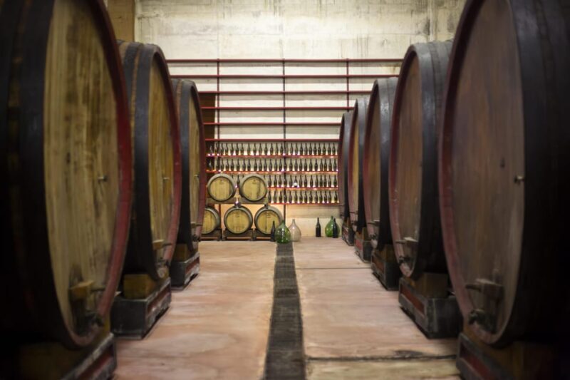 Offida: Tasting itinerary of Rosso Piceno DOC Superiore - The Experience in Detail