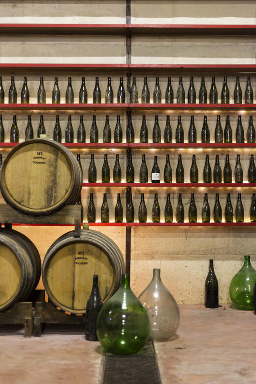 Offida: Tasting itinerary of Rosso Piceno DOC Superiore - Who Will Love This Experience?