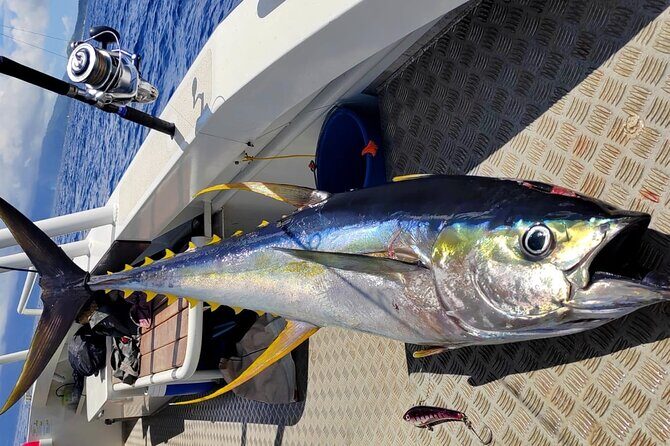 Offshore fishing around the Teahupo'o wave - Overview of the Tour Experience