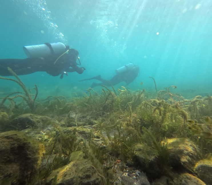Ohrid: Scuba Diving Experience in Lake Ohrid - Why Choose the Ohrid Scuba Diving Tour?