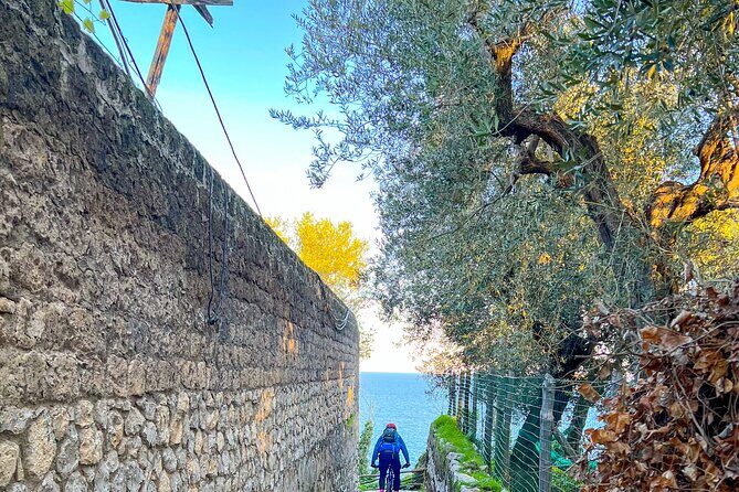 Oil and Lemon - Sorrento e-Bike Tour Experience - FAQ