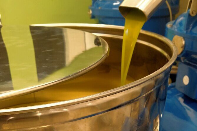 Oil Mill Private Tour with Guided Oil Tasting - Why This Tour Is Worth Considering