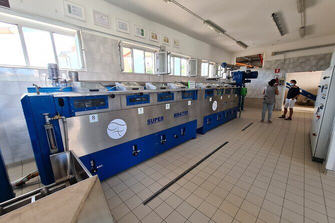 Oil Mill Private Tour with Guided Oil Tasting - Who This Tour Suits Best