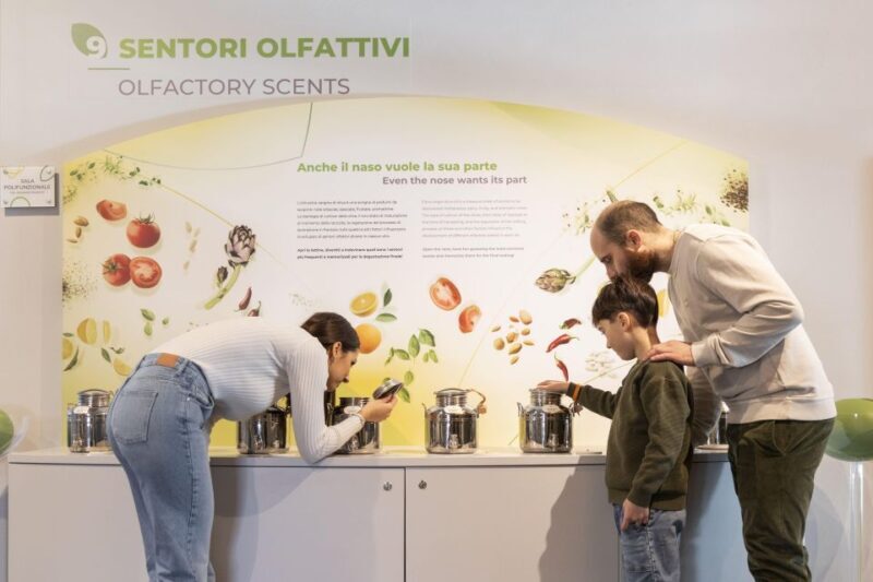 Oil Museum and Mill in Tuscany: interactive tour and tasting - Key Points