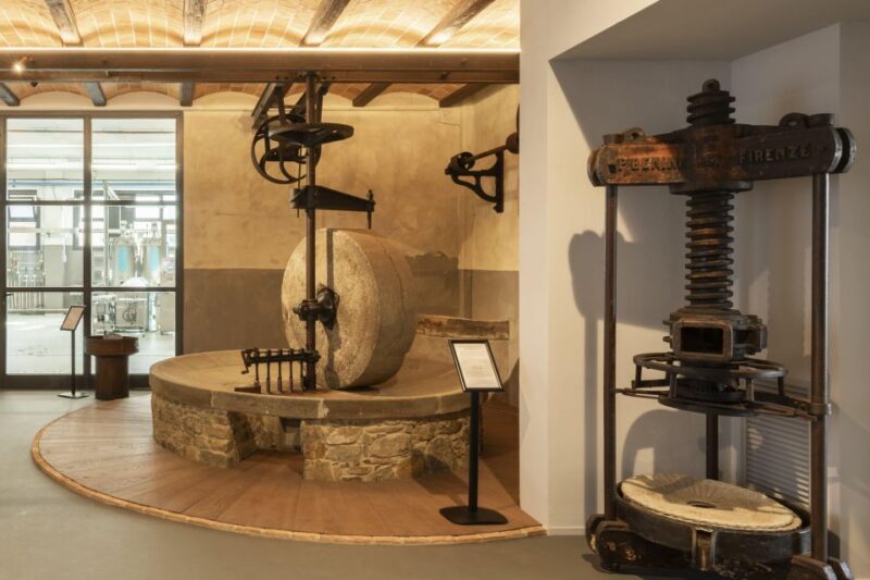 Oil Museum and Mill in Tuscany: interactive tour and tasting - The Sum Up