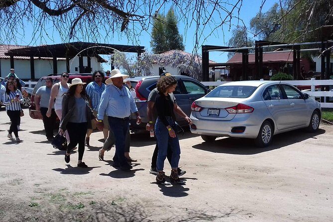 Ojos Negros Valley Wine and Cheese Route Tour in Baja California - The Sum Up