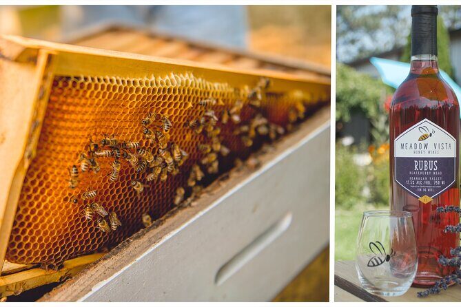 Okanagan Bee Tour and Lunch at Winery in Kelowna - What is the Okanagan Bee Tour and Why Should You Consider It?