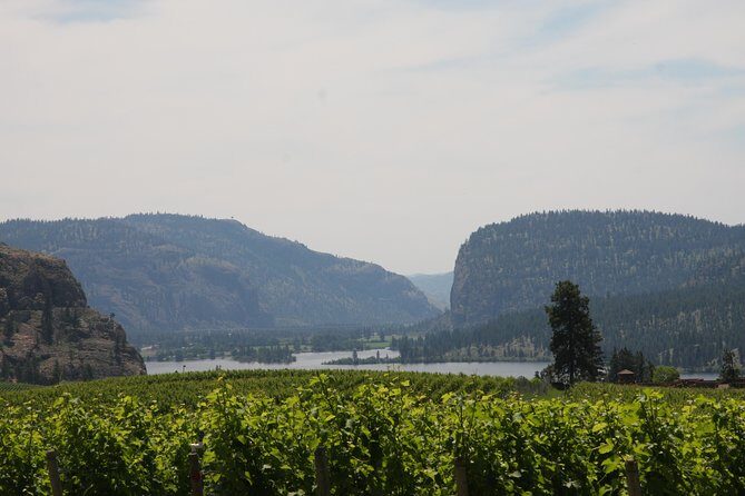 Okanagan Falls Private Wine Tour - Full Day - Final Thoughts: Who Is This Tour For?