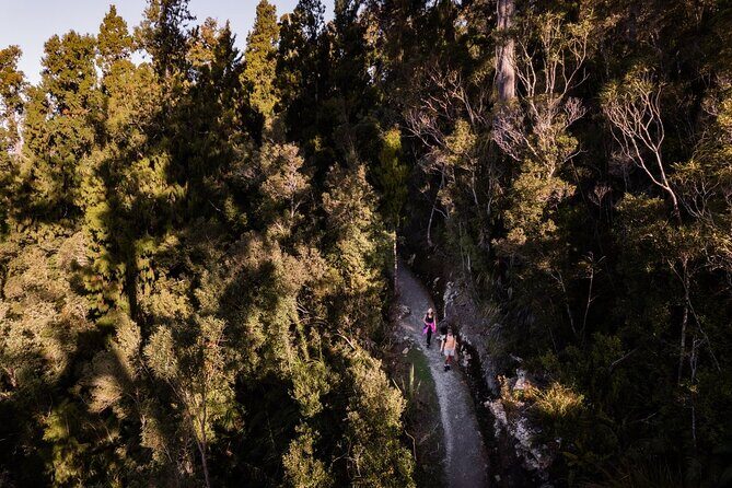 Okarito Nature Tour - Weather Considerations