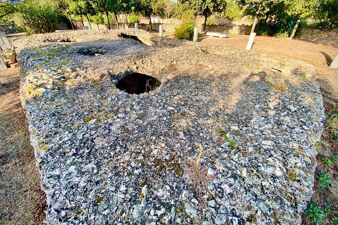 Olbia : Ancient Sardinia Archaeological Tour + pickup included - Who Should Consider This Tour?