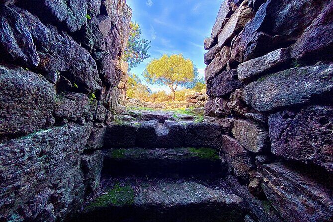 Olbia : Ancient Sardinia Archaeological Tour + pickup included - Final Thoughts