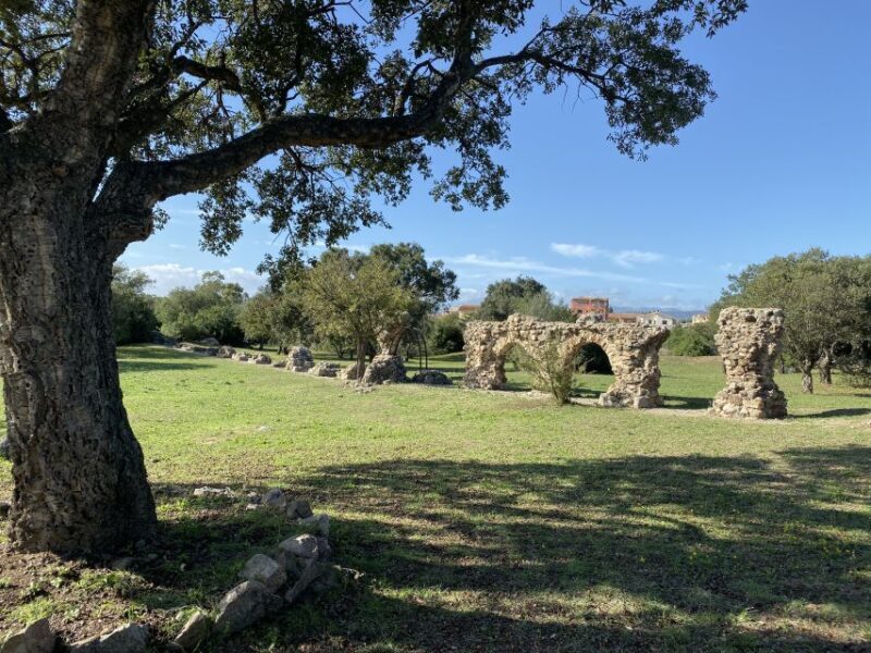 Olbia: Archaeological Tour of Ancient Sardinia + Transport - A Closer Look at the Itinerary