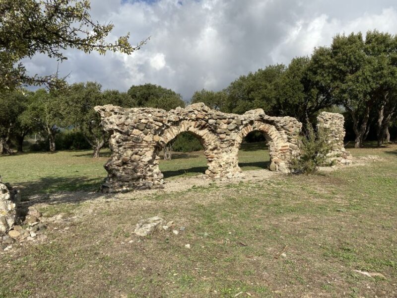 Olbia: Archaeological Tour of Ancient Sardinia + Transport - Who Should Consider This Tour?
