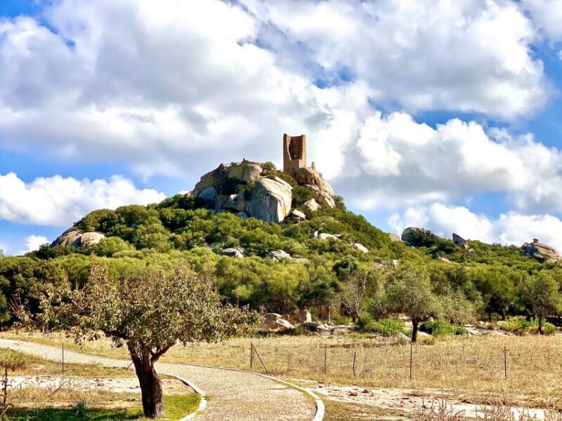 Olbia: Archaeological Tour of Ancient Sardinia + Transport - Final Thoughts: Is It Worth It?