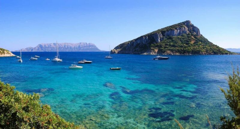 Olbia: Dolphin Watching and Snorkeling Boat Tour - In Closing