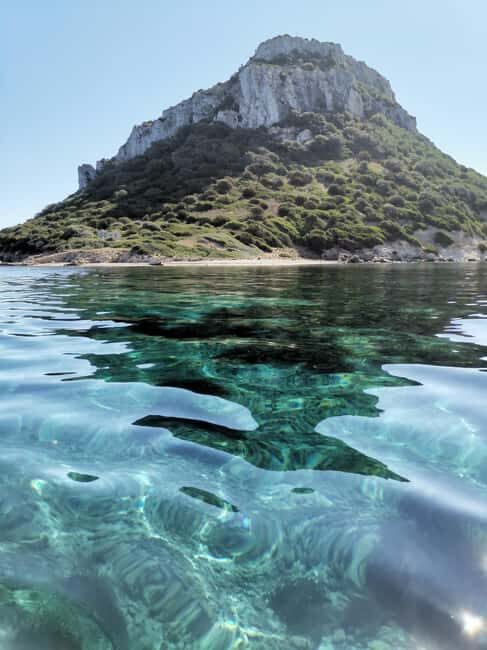 Olbia: Dolphin watching and snorkeling tour on Figarolo Island - Introduction: What Makes This Tour Special?