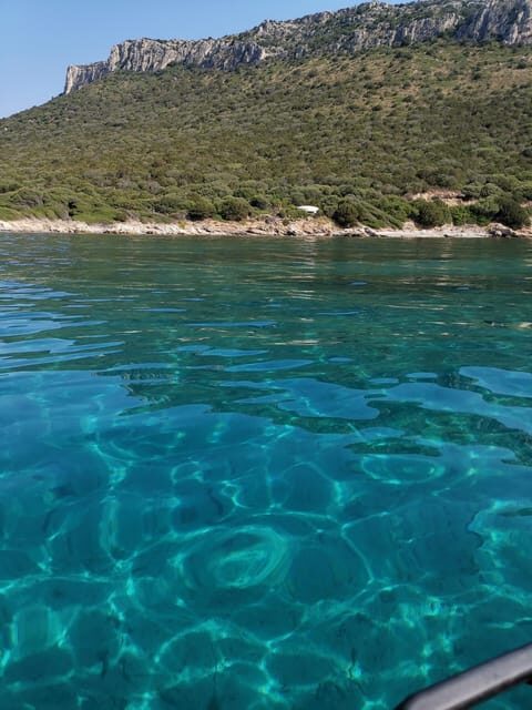 Olbia: Dolphin watching and snorkeling tour on Figarolo Island - Practical Details and Tips