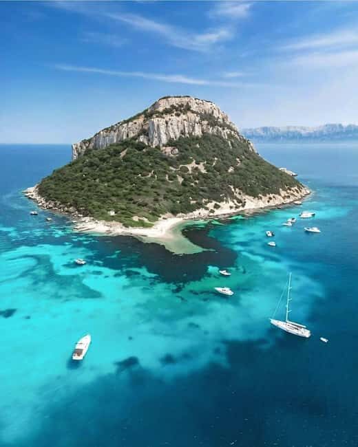 Olbia: Dolphin Watching & Snorkeling Boat Tour near Figarolo - Who Would Love This?