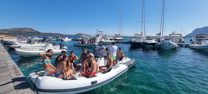 Olbia: Dolphin Watching & Swim with prosecco aperitif - Authentic Feedback from Travelers