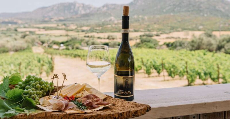 Olbia: Gallura Winery Guided Tour with Tasting - FAQ