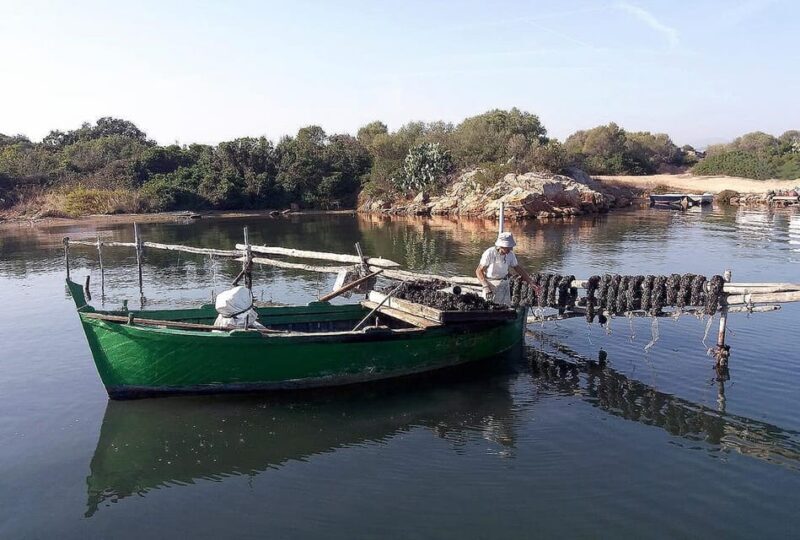 Olbia: Gulf of Olbia boat tour - Duration and Group Size