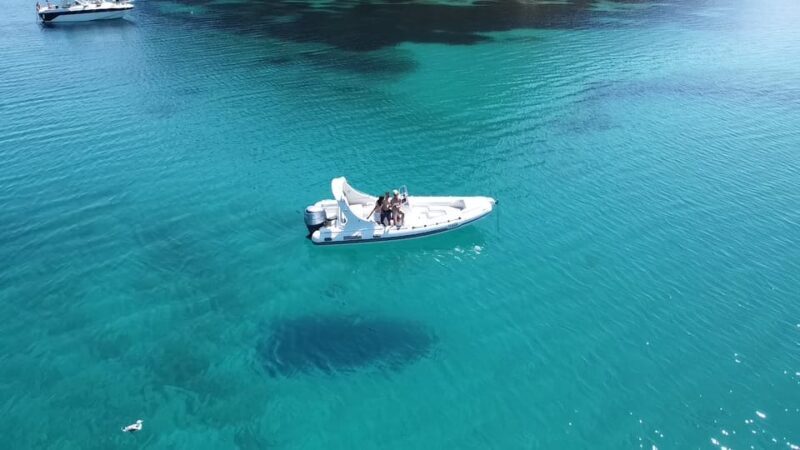 Olbia: Sunset and dolphin watching - FAQ