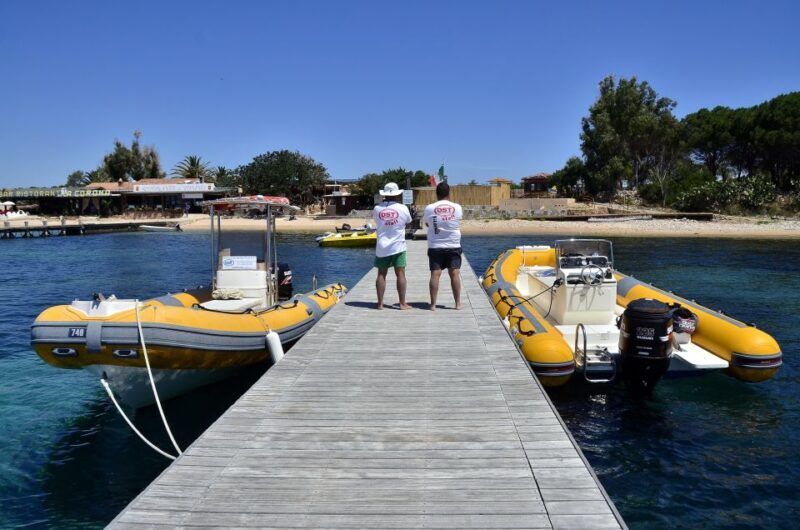 Olbia: Tavolara and Molara Snorkeling Boat Tour - A Deep Dive into the Experience