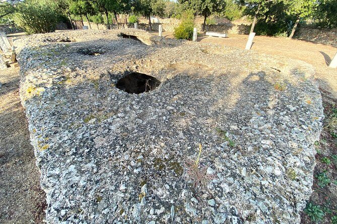 Olbia : Tuk-Tuk Tour Ancient Treasures of Sardinia + pickup - Final Thoughts: Is It Worth It?