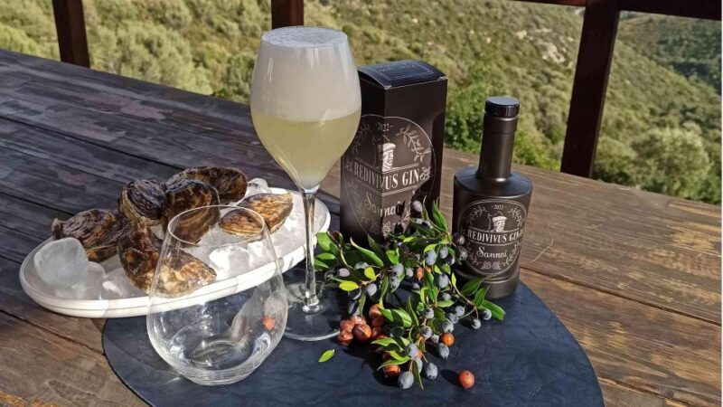 Olbia: visit a gin-making factory with tasting - What to Expect from the Sardinian Gin Factory Tour