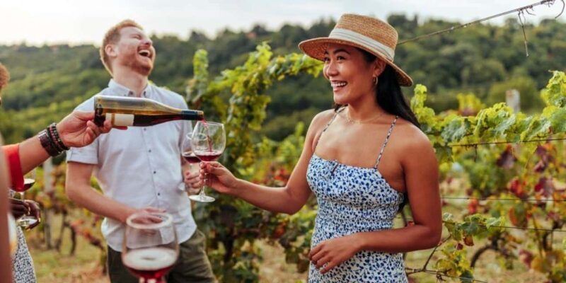 Olbia: Wine Tour in Gallura + Tasting + Transport Included - Discovering Sardinia’s Wine Heritage