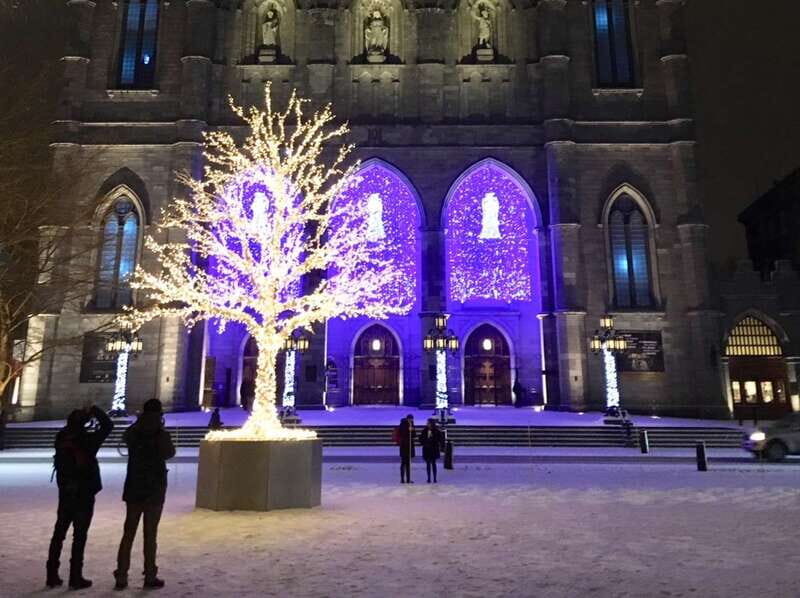 Old Montréal Small-Group Christmas Tour - Who Should Consider This Tour?