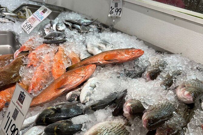 Old Port Working Waterfront Walking Tour and Seafood Tasting - FAQ