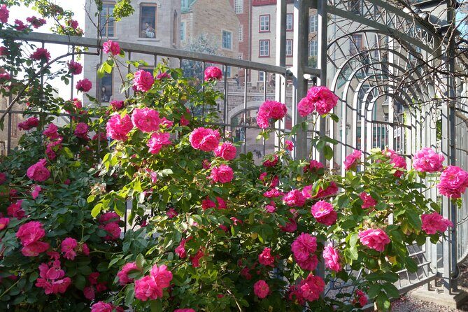 Old Quebec City Private Walking Tour : History and Nature - Insights from Reviewer Feedback