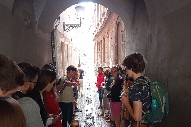 Old Town and Castle Group Tour in Ljubljana - Who Will Benefit Most from This Tour?