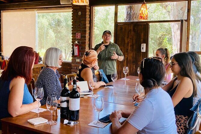 Old Wine Route Tour Experience at Baja California. ALL INCLUSIVE! - The Sum Up
