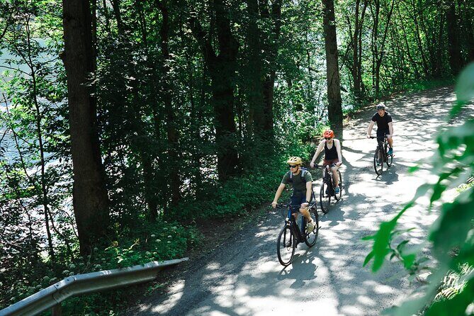 Olden: Fjord e-bike tour - A Closer Look at the Logistics