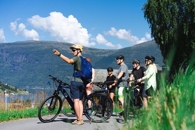 Olden: Fjord e-bike tour - Who Will Love This Tour?