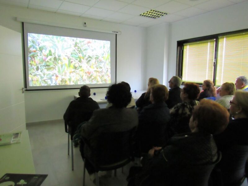 OleoAlmanzora: Guided tour olive groves and EVOO facilities - Final Thoughts: Who Will Love This Tour?