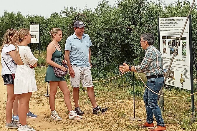Oleotourism and olive oil tasting in Seville - Private tour - Exploring Olive Oil Culture in Seville: A Detailed Review of the Private Oleotourism Tour