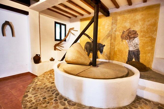 Oleotourism and olive oil tasting in Seville - Private tour - Key Points