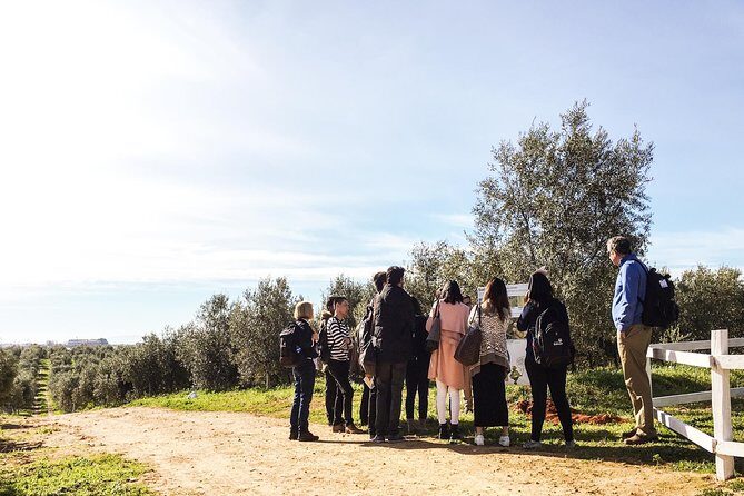 Oleotourism and olive oil tasting in Seville - Private tour - FAQs