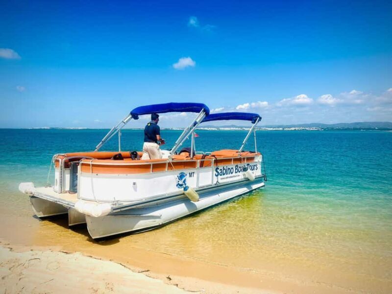 Olhão: 3-Hour Ria Formosa Boat Tour - The Experience: Practical Details & Why It’s Worth It