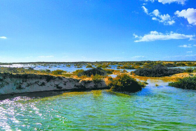 Olhão: 5H PRIVATE Guided Boat Tour, Slow Tourism in Ria Formosa. - Key Points