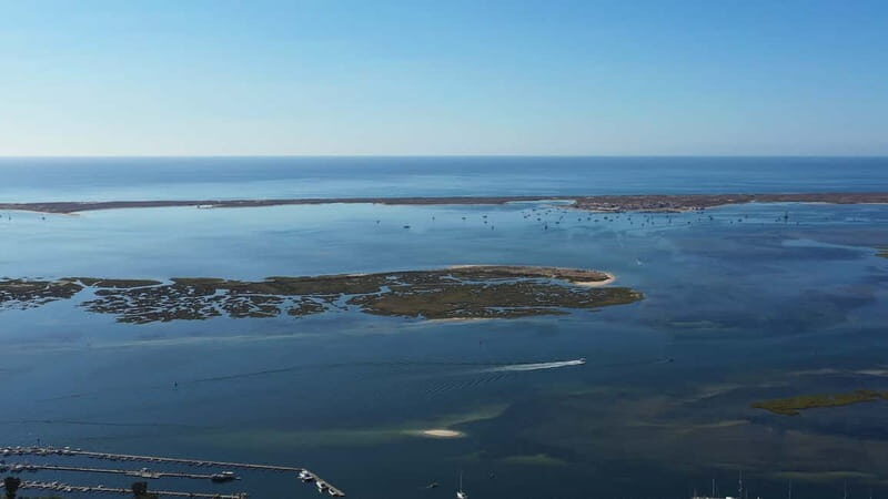 Olhão: Ria Formosa National Park and Islands Boat Cruise - Exploring the Ria Formosa: A Natural Wonder