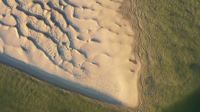 Olhão: Ria Formosa National Park and Islands Boat Cruise - Practical Details