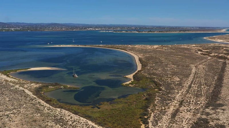 Olhão: Ria Formosa National Park and Islands Boat Cruise - Who Will Love This Tour?